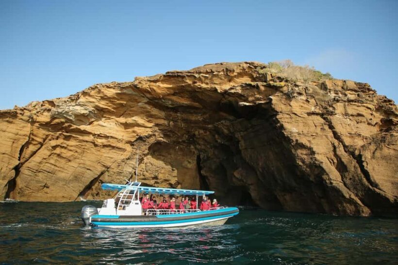 Coastal 2.5-hour Adventure Boat Tour from Newcastle - Key Points