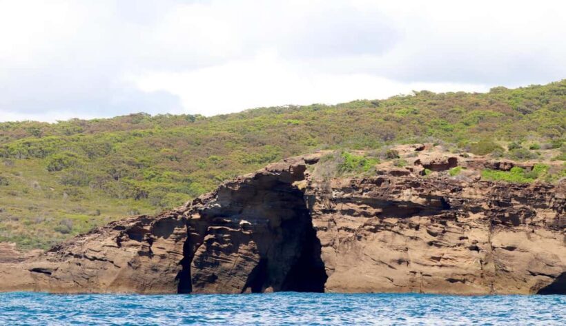 Coastal Boat Tour from Lake Macquarie - Discovering Lake Macquarie’s Coastal Treasures