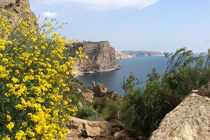 Coastal Cliffs & Beaches: Private Full Day Tour - Stunning Scenery and Views