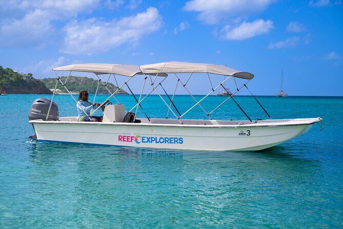 Coastal Cruise to Turners Beach Experience - What Travelers Say (Based on Reviews)