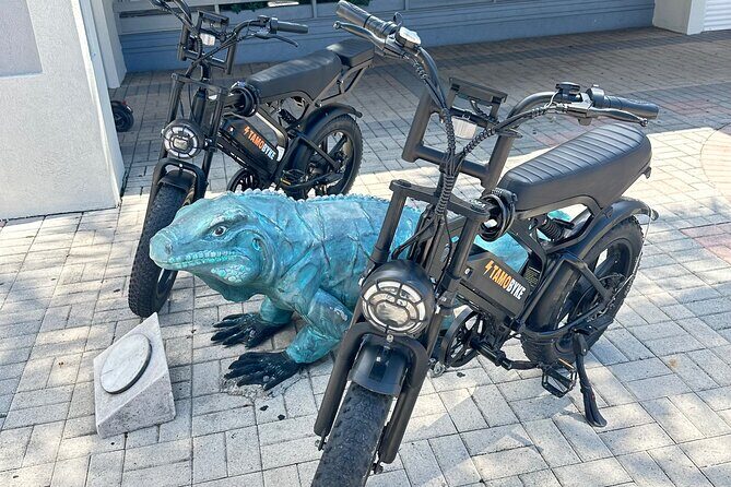 Coastal E-Bike Adventure: Full-Day Self-Guided Tour Grand Cayman - Key Points: