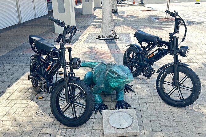 Coastal E-Bike Adventure: Full-Day Self-Guided Tour Grand Cayman - The Itinerary Breakdown: What to Expect