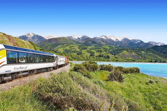 Coastal Pacific Train Journey from Christchurch to Picton - Experience Breakdown