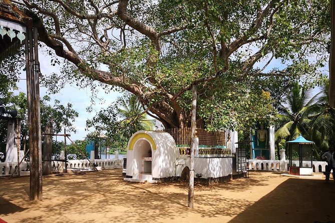 Coastal Ride to Galle from Colombo Seaport - The Sum Up: Who Will Love This Tour?