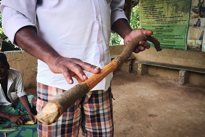 Coastal Ride to Galle from Colombo Seaport - FAQ