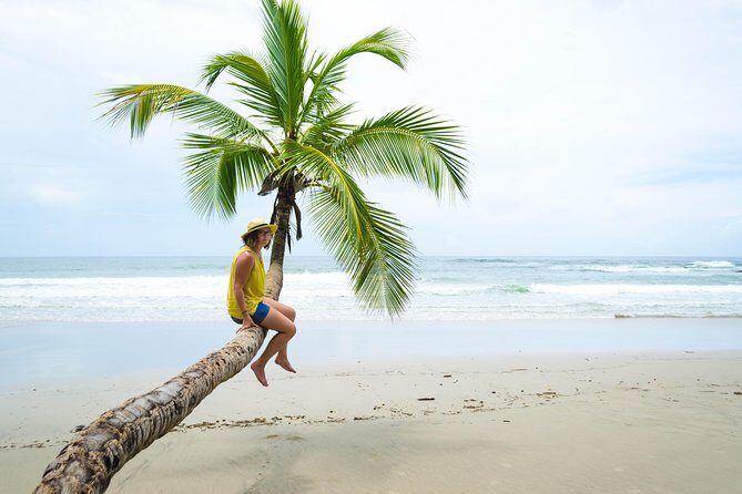 Coastal Tour of Trinidad - Key Points