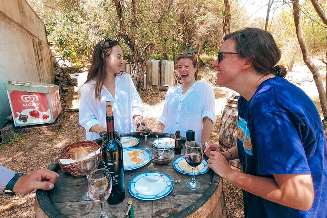 Coastal Vineyards: A Dream Wine Tour to Elaphiti Islands - Wine Lovers Delight: Sampling Šipans Finest Vintages