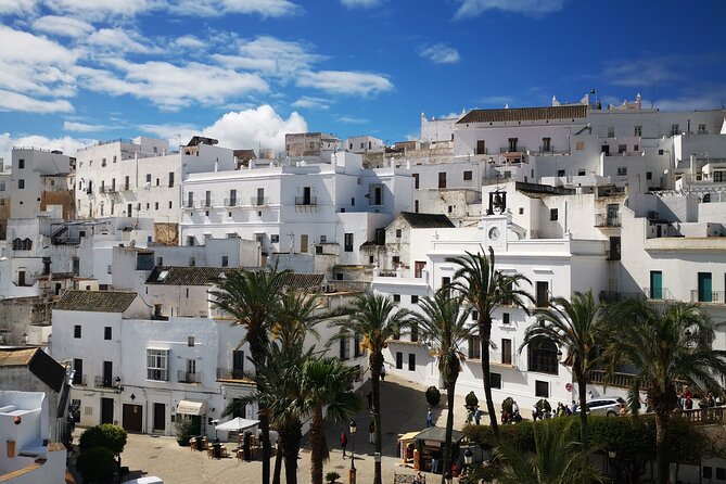 Coastal White Villages and beaches private day trip from Seville - Exploring the Costa de Cádiz: An In-Depth Look at the Tour
