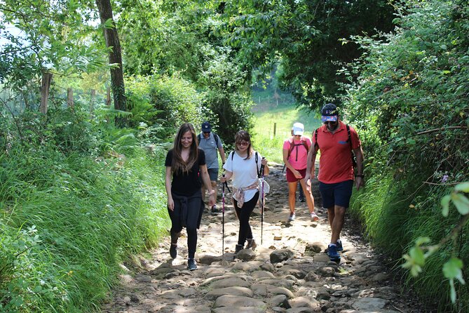 Coastal Winery Camino Trail Walking Tour From San Sebastian - Accessibility and Requirements