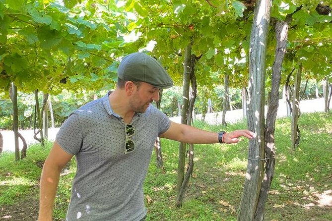 Coastal Winery Camino Trail Walking Tour From San Sebastian - Basque Culture and History Exploration