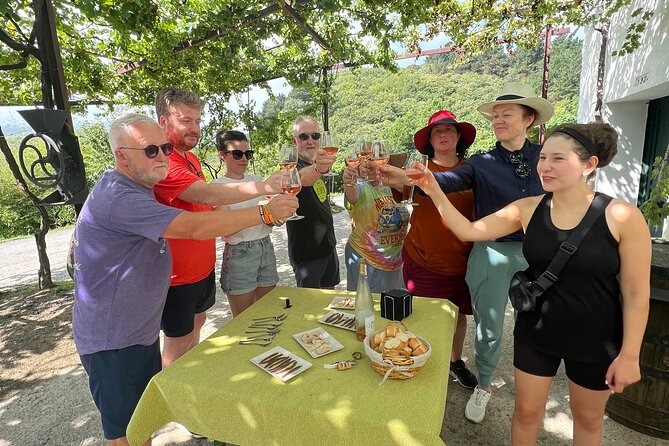 Coastal Winery Camino Trail Walking Tour From San Sebastian - Traveler Feedback and Ratings