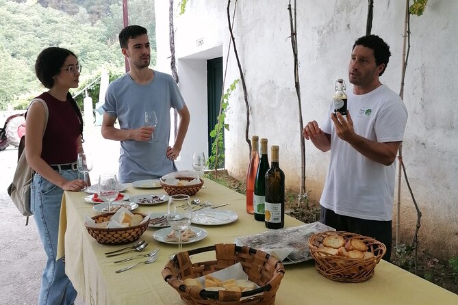 Coastal Winery Camino Trail Walking Tour From San Sebastian - Booking and Cancellation Details