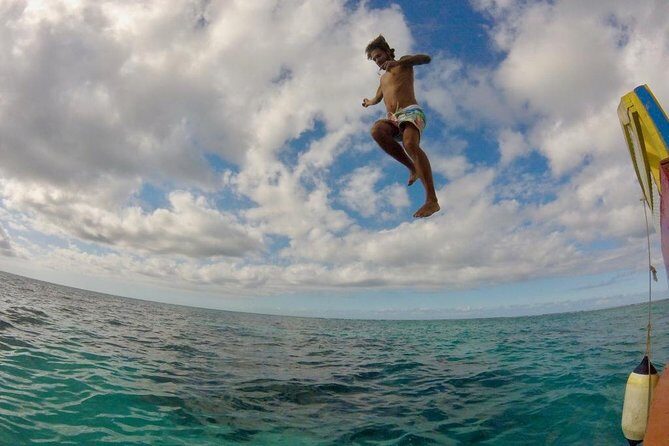 Coastline Snorkel and BBQ - Final Thoughts