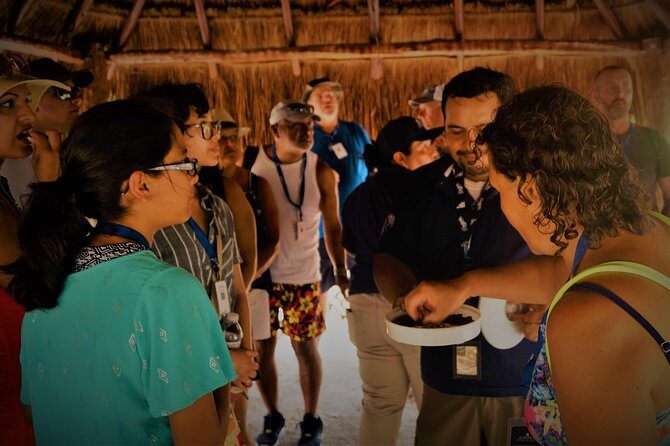 Coba and Tulum, cenote swim and buffet lunch - Who Should Consider This Tour?