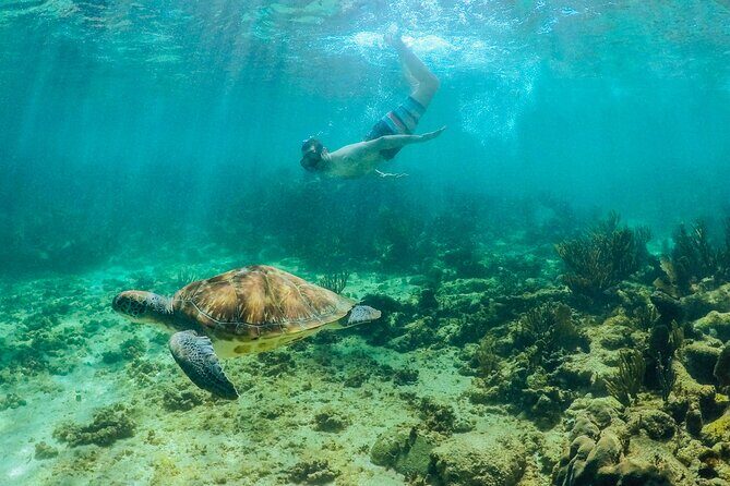 Coba Mayan Ruins and Sea Turtles Snorkeling with Lunch - Final Thoughts