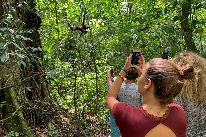 Coba & Monkey Sanctuary Punta Laguna Private Tour - Analyzing the Value