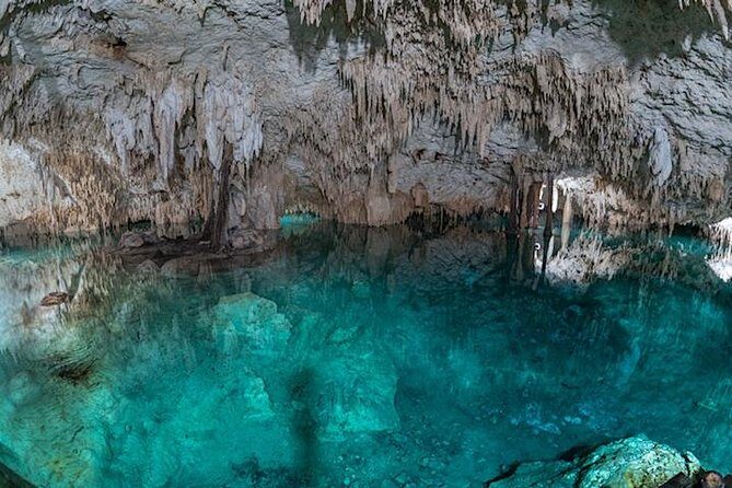 Coba Private Tour  Ancient Ruins & Refreshing Cenote Swim - What to Expect from the Tour: A Detailed Breakdown