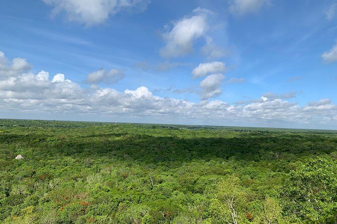 Coba Ruins and Punta Laguna Monkey Reserve Day Tour from Tulum - The Sum Up