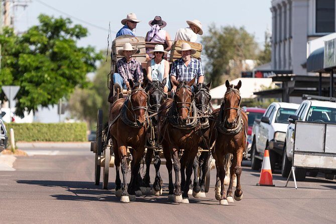 Cobb & Co Stagecoach Experience in Longreach - Who Will Appreciate This Experience?