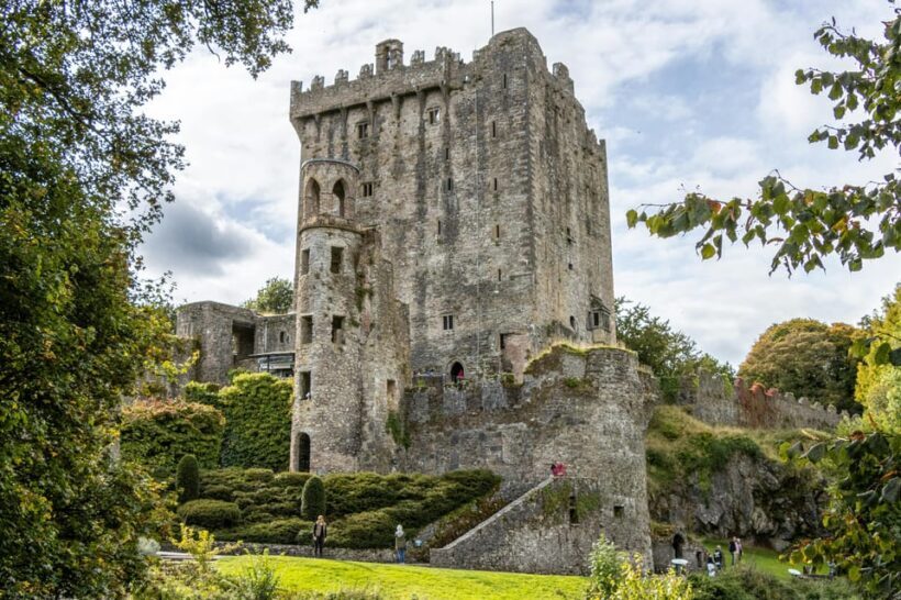 Cobh/Cork: Blarney Castle, Kinsale & Cork City Shore Tour - A Deep Dive into the Tour Experience