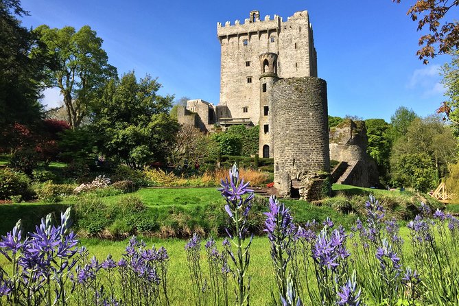 Cobh (Cork) to Blarney Castle & Kinsale - Shore Excursion - Who Will Love This Tour?
