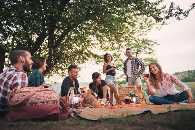 Cochem: Bike and Boat Tour with Picnic and Wine Tasting - A Detailed Breakdown of the Experience