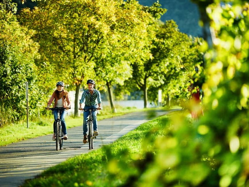 Cochem: Bike and Boat Tour with Picnic and Wine Tasting - Authentic Experiences and Traveler Feedback