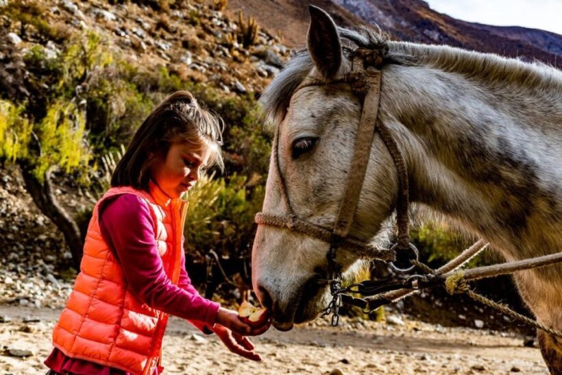 Cochiguaz: Horseback Riding, River and Mountain Range - What You Can Expect from the Tour