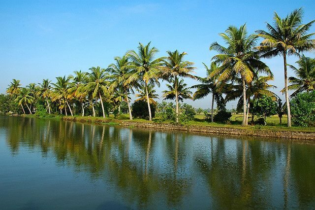 Cochin : Alleppey/Alappuzha Backwater Canoe (Shikara) Cruise - The Value of the Experience