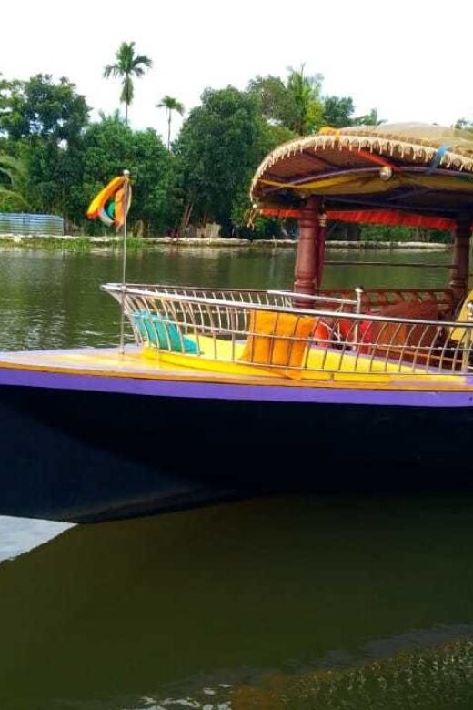 Cochin : Alleppey/Alappuzha Backwater Canoe (Shikara) Cruise - Authenticity and Comfort