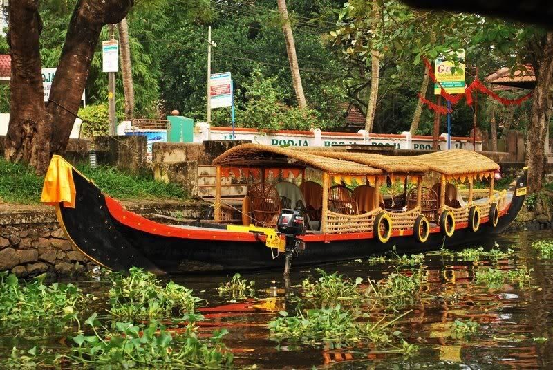 Cochin : Alleppey/Alappuzha Backwater Canoe (Shikara) Cruise - Who Is This Tour Best For?