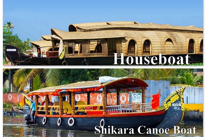 Cochin City or Backwater Shore Excursions from Cruise Terminal - Detailed Breakdown of the Itinerary