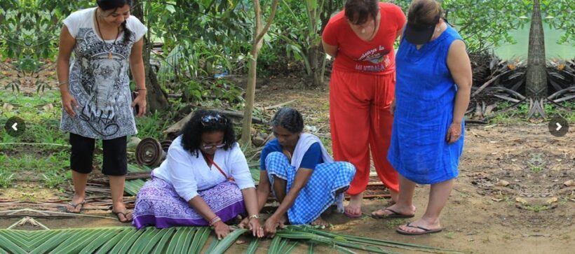 Cochin: Half-Day Backwater Village Eco Boat Cruise W/ Lunch - Exploring Kerala’s Backwaters in a Traditional Way