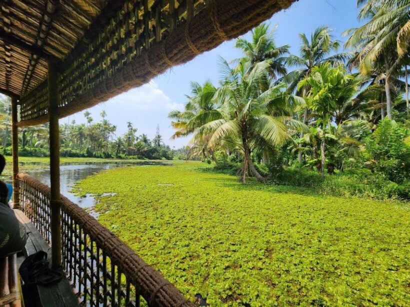 Cochin: Half-Day Backwater Village Eco Boat Cruise W/ Lunch - Authentic Experiences That Shine