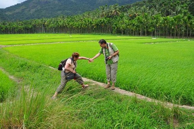 Cochin Heritage Tour With Alleppey Houseboat Cruise - Value for Money and Real-World Feedback