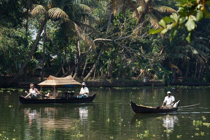 Cochin to Alleppey & Marari Beach (3 Days) - A Deep Dive into the 3-Day Kerala Tour
