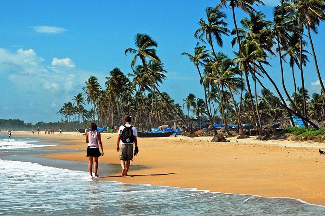 Cochin to Alleppey & Marari Beach (3 Days) - Transportation and Value