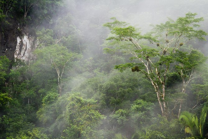 Cockscomb Basin Wildlife Sanctuary and Jaguar Preserve - Customizable Jungle Hikes