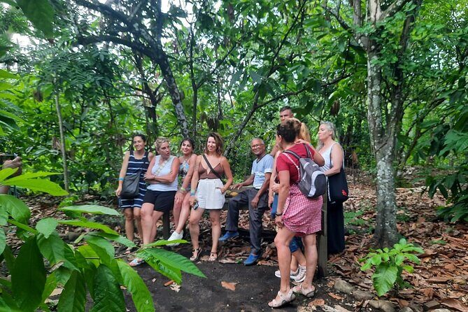 Cocoa & Artisan Chocolate Route with an Historical Tour in Puerto Plata City - A Closer Look at the Tour Itinerary