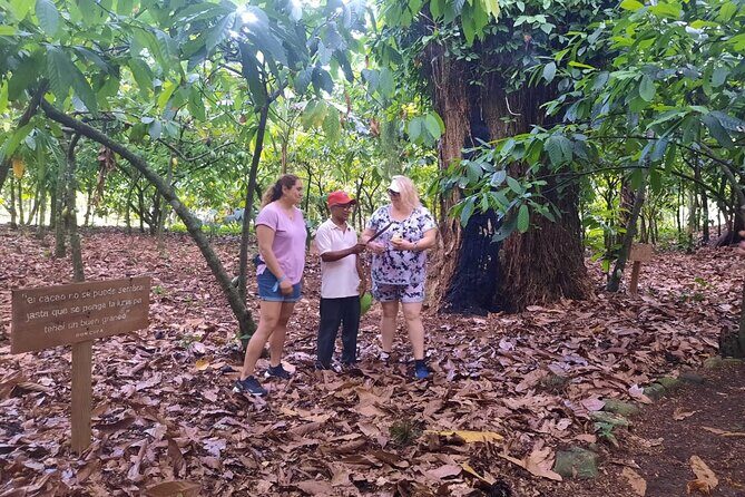 Cocoa & Artisan Chocolate Route with an Historical Tour in Puerto Plata City - The Sum Up