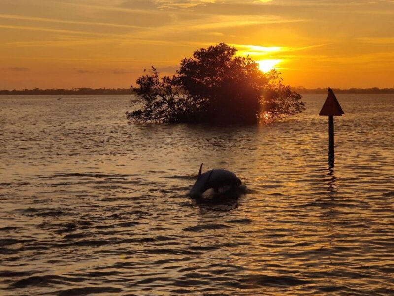 Cocoa Beach: Banana River Sunset Cruise - Why This Tour Is a Solid Choice