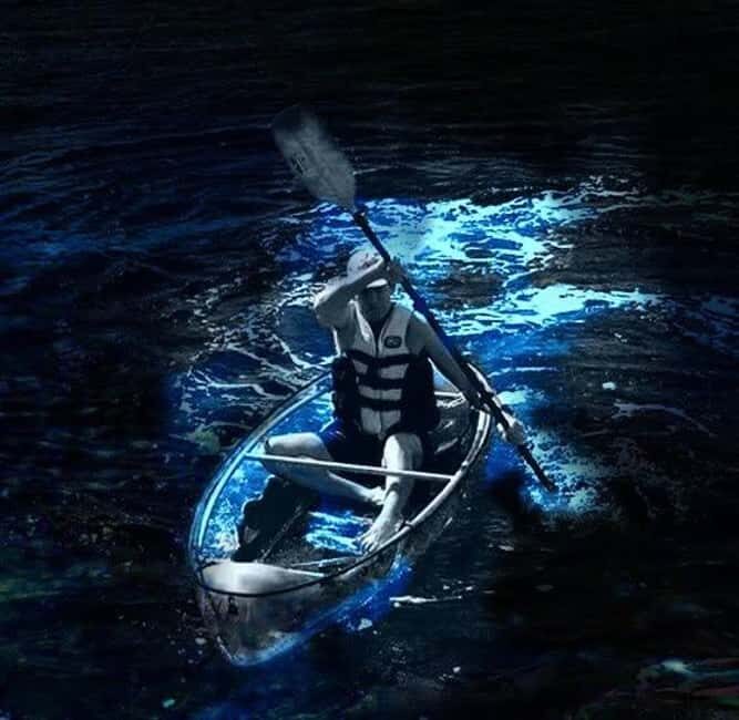 Cocoa Beach: Clear Kayak Bioluminescence Tour - What to Expect on Your Bioluminescence Adventure