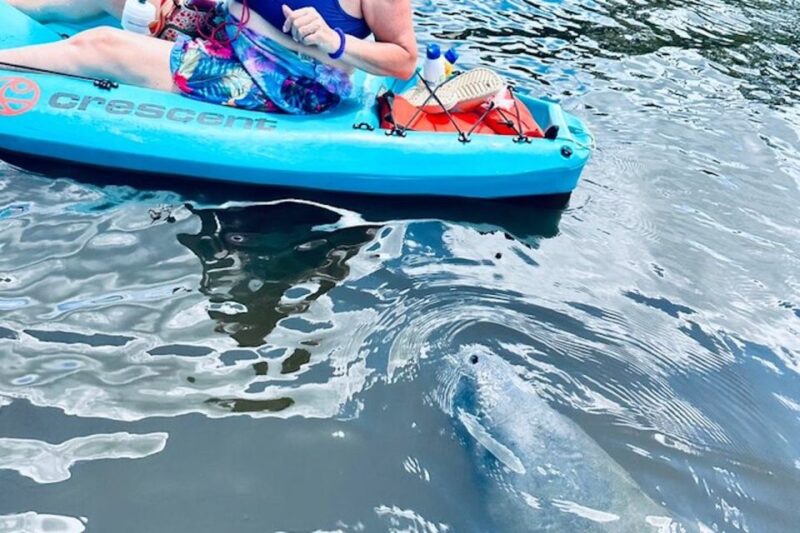 Cocoa Beach: Dolphin and Manatee Kayak or Paddle Tour - Is It Worth the Price?