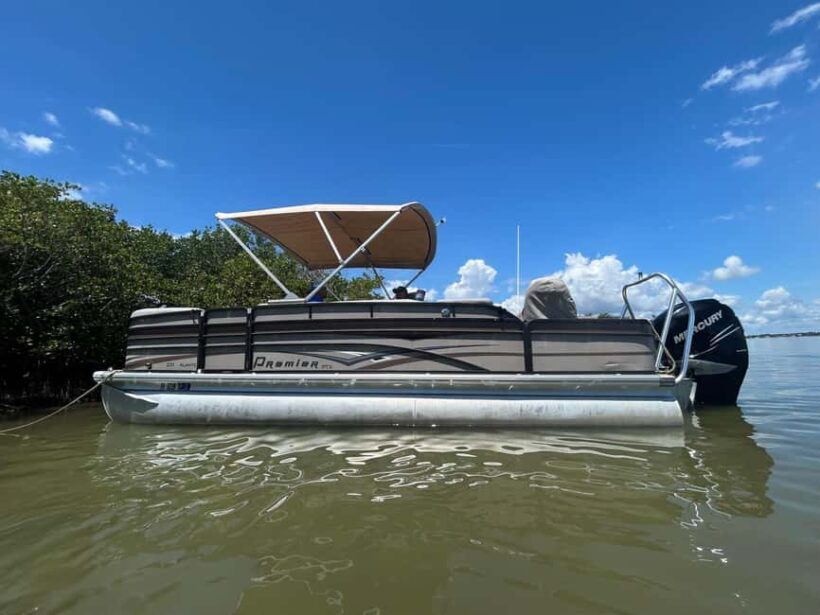 Cocoa Beach: Dolphin & Manatee Pontoon Cruise - Key Points