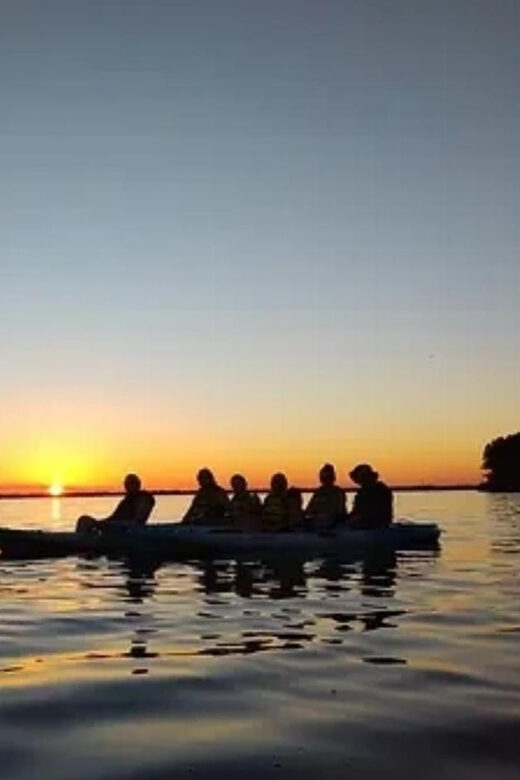 Cocoa Beach/Merritt Island: Guided Dolphin and Manatee Tour - An In-Depth Look at the Tour Experience