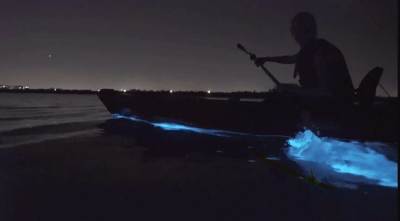 Cocoa Beach/Merritt Island:Bioluminescent kayak tour - The Broader Context and Why It Matters