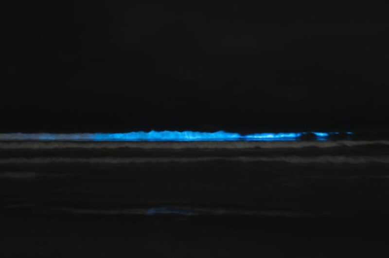 Cocoa Beach/Merritt Island:Bioluminescent kayak tour - Who Should Consider This Tour?