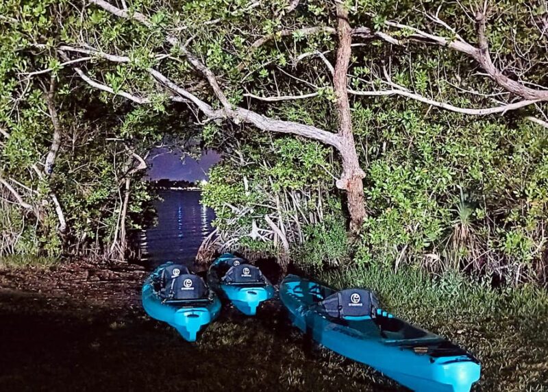 Cocoa Beach/Merritt Island:Bioluminescent kayak tour - FAQ
