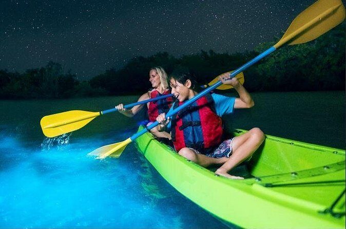 Cocoa Beach Night Time Bioluminescence Kayak Tour - Final Thoughts on Value and Suitability