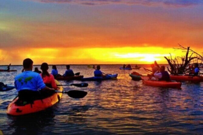 Cocoa Beach Night Time Bioluminescence Kayak Tour - Who Should Consider This Tour?